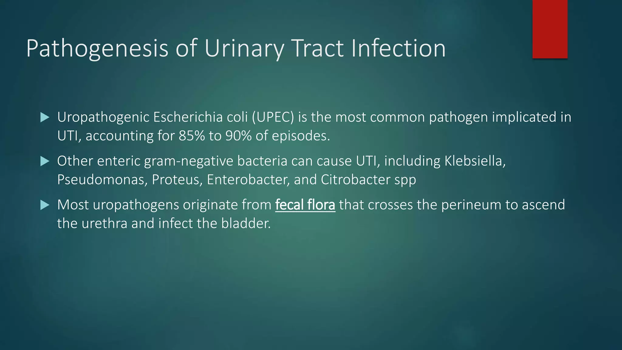 UTI in children | PPTX