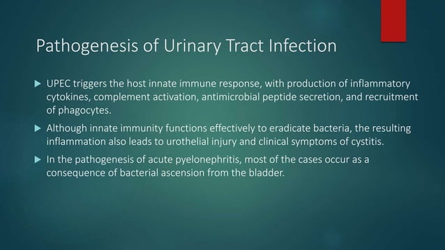 UTI in children | PPTX | Infectious Diseases | Diseases and Conditions