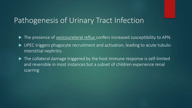 UTI in children | PPTX | Infectious Diseases | Diseases and Conditions