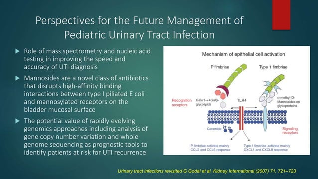 UTI in children | PPTX | Infectious Diseases | Diseases and Conditions
