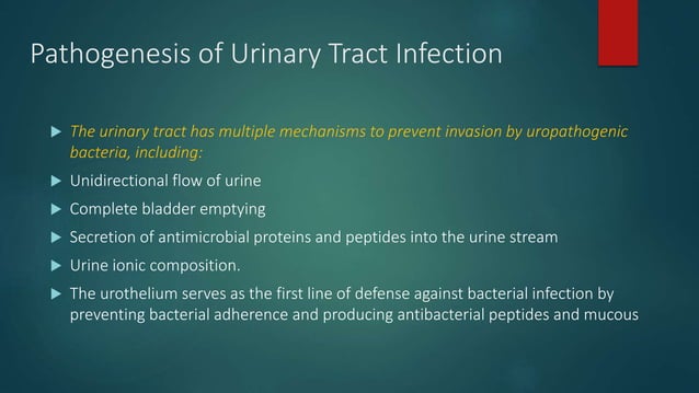 UTI in children | PPTX | Infectious Diseases | Diseases and Conditions