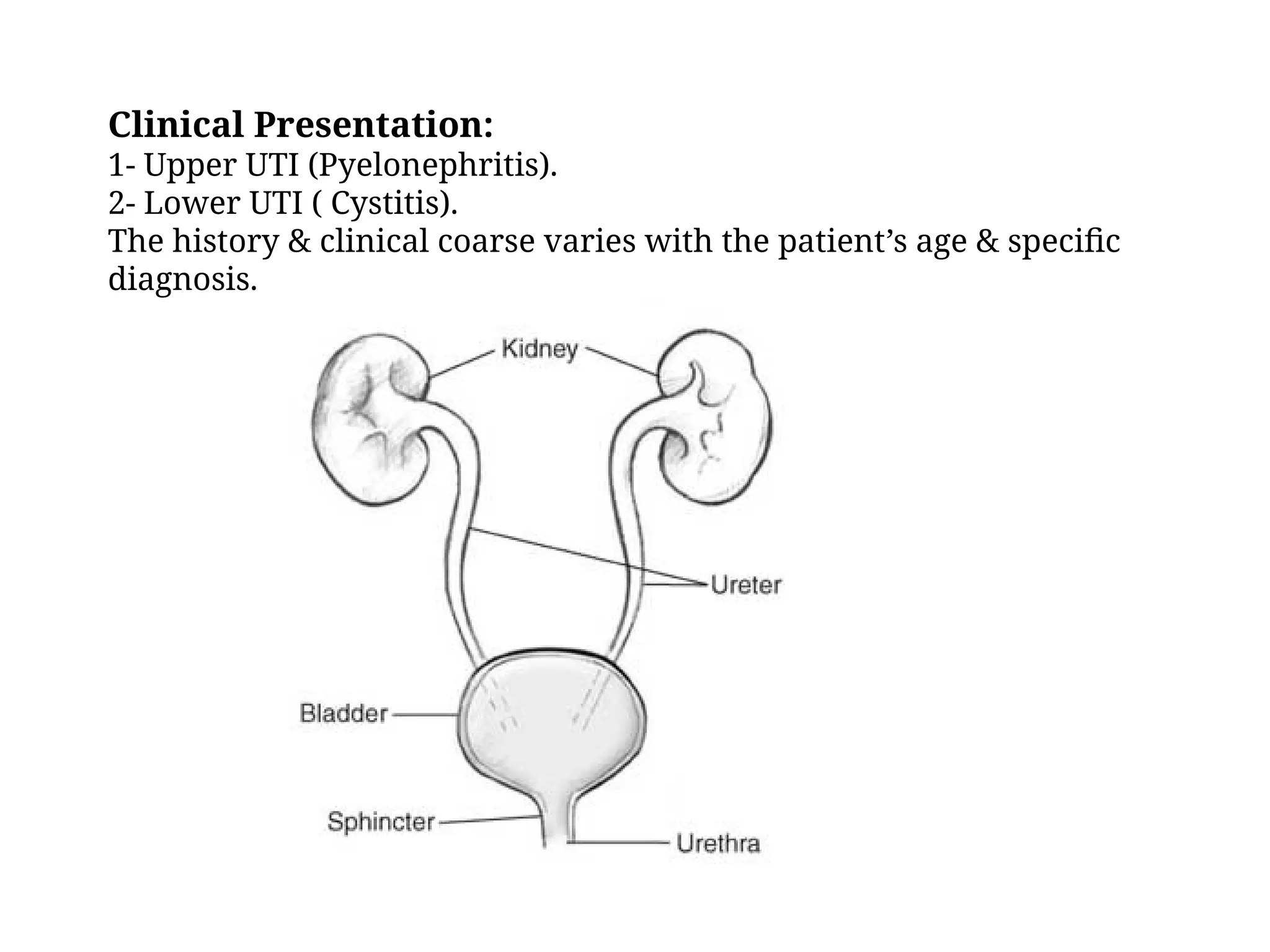 UTI in Children infeccion urinaria en pediatria | PPT