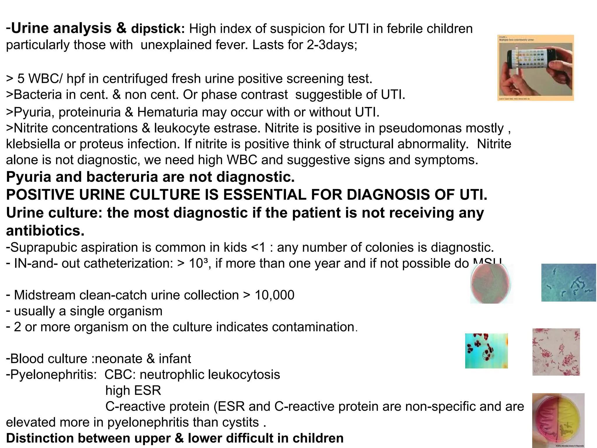UTI in Children infeccion urinaria en pediatria | PPT