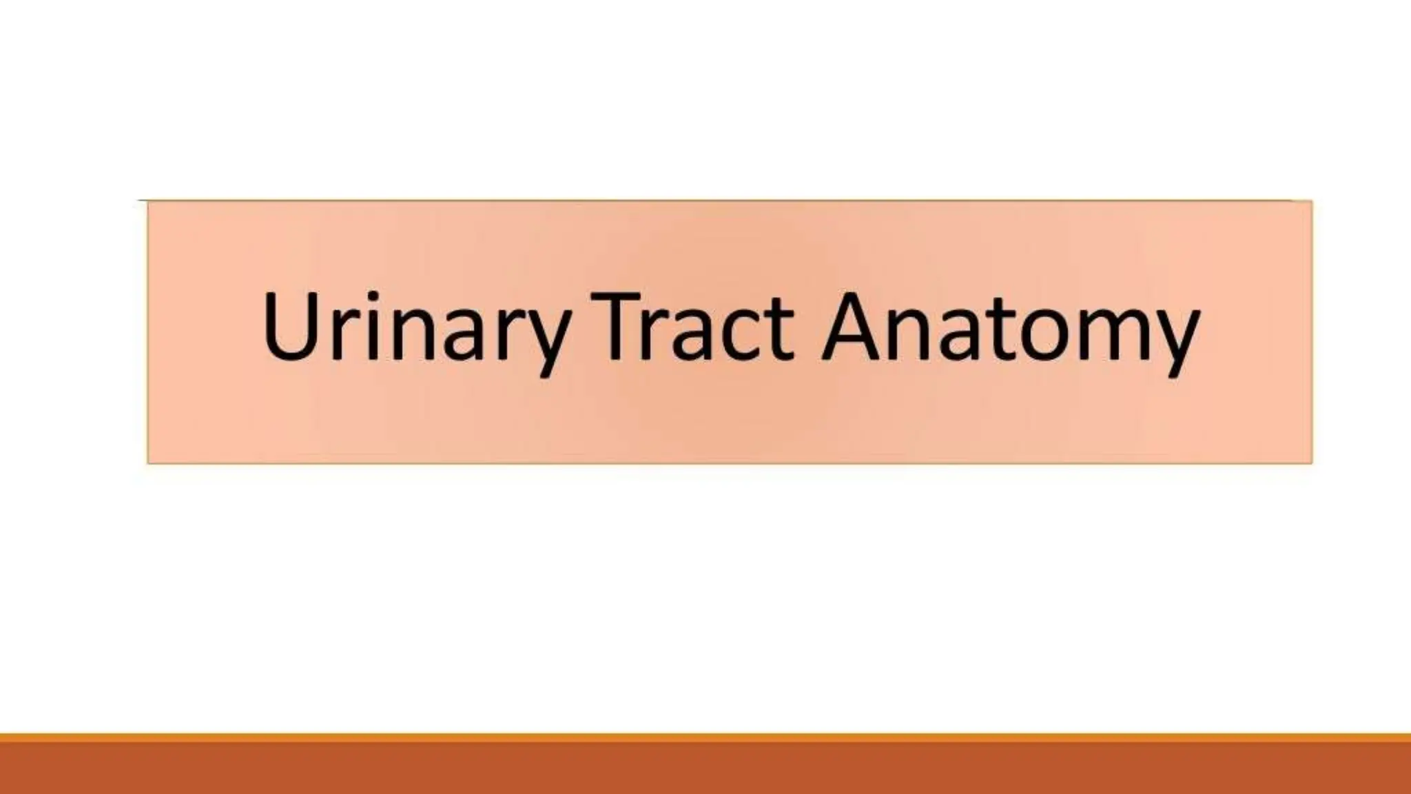 UTI infection.pptx,Pharmacology dept, .. | PPT