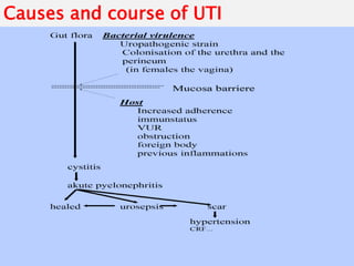 UTI in Pediatric age -How to Manage?.ppt