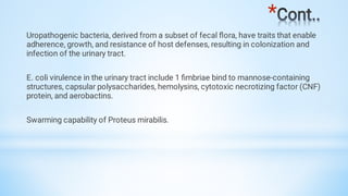 UTI in pregnancy MWEBAZA VICTOR pdf | PDF