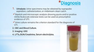 UTI in pregnancy MWEBAZA VICTOR pdf | PDF
