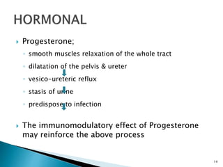 Management of UTI in pregnancy | PPTX