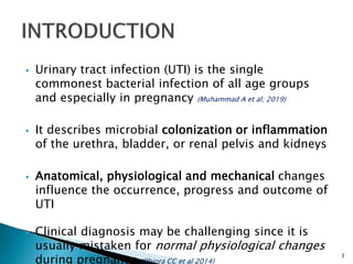 Management of UTI in pregnancy | PPTX