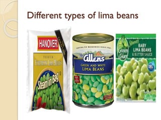 Utilisation of limabeans | PDF