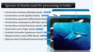 Utilisation of shark FPT-510.pptx