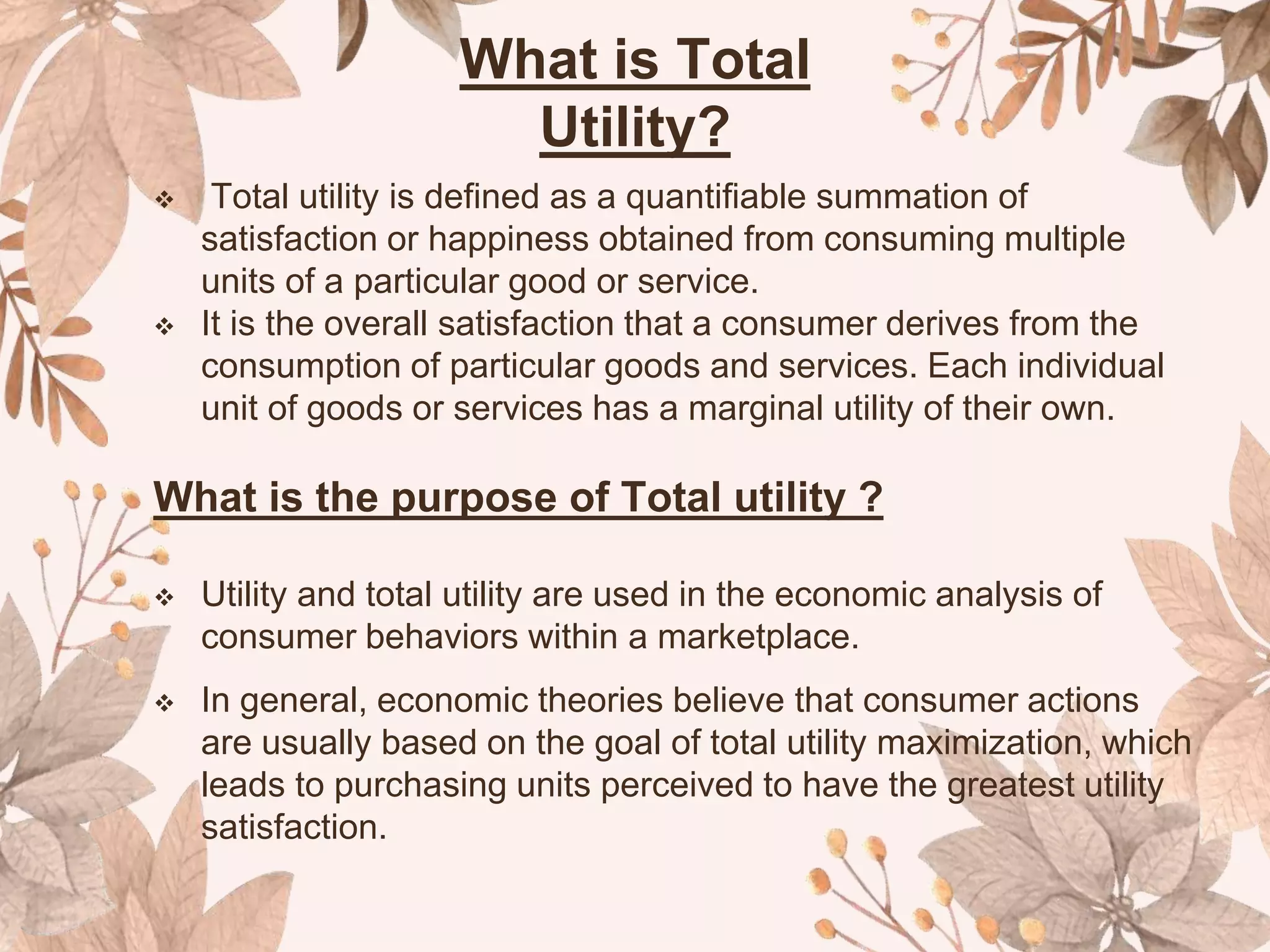 UTILITY_ANALYSIS_HS_PPT[1] (1).pptx