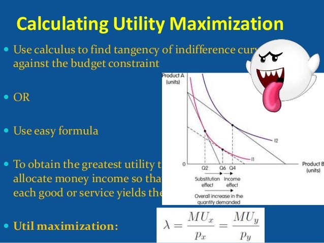 Utility Maximization