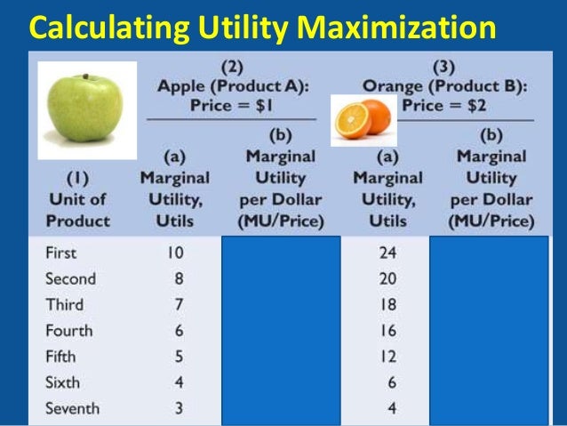 Utility maximization Utility maximization