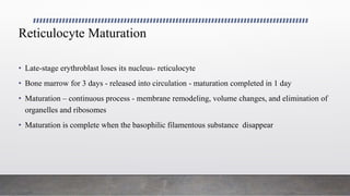 Utility of reticulocyte parameters | PPTX