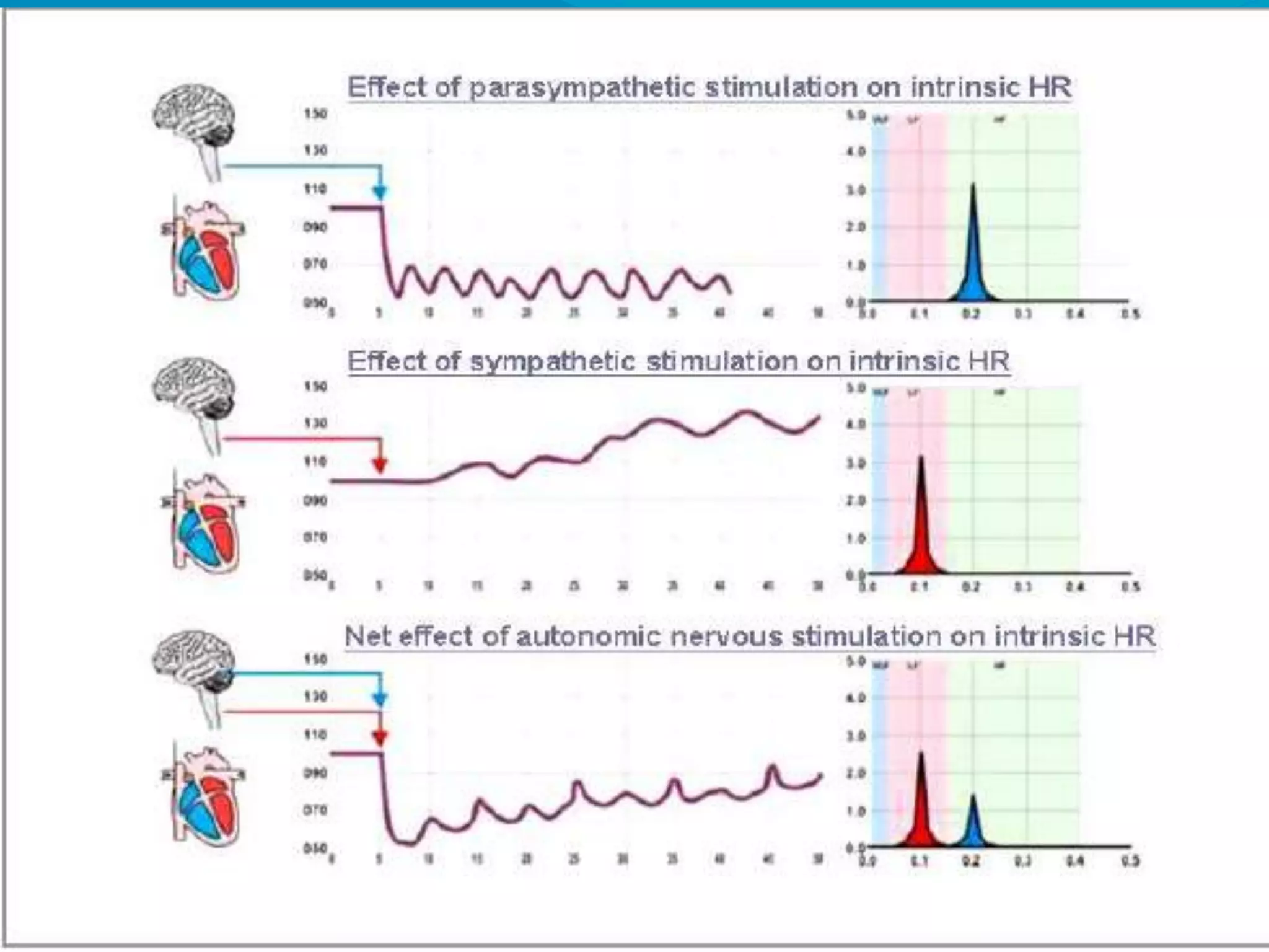 Utility value of tilt table testing in evaluation | PPTX