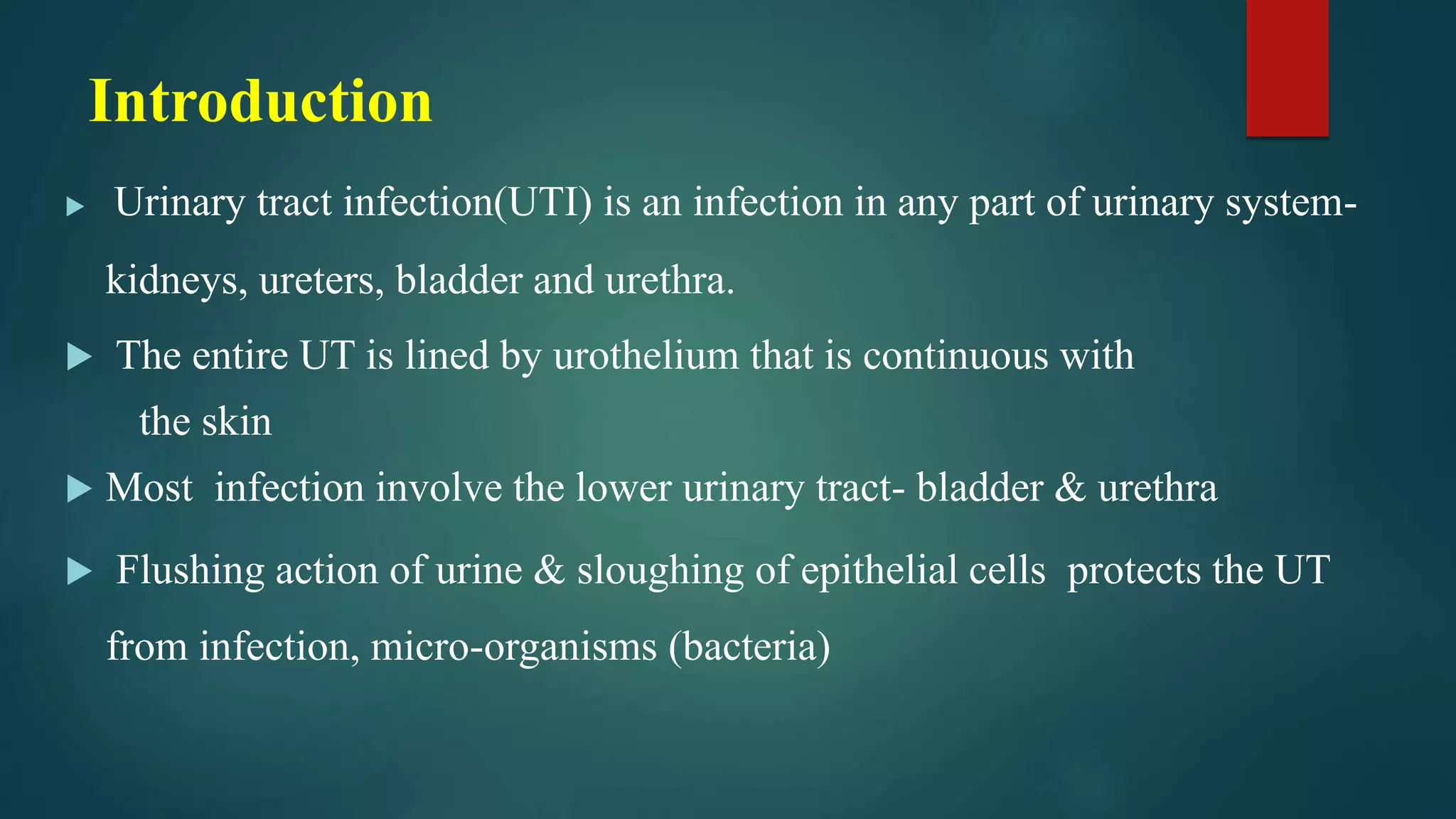 URINARY TRACT INFECTIOM | PPTX