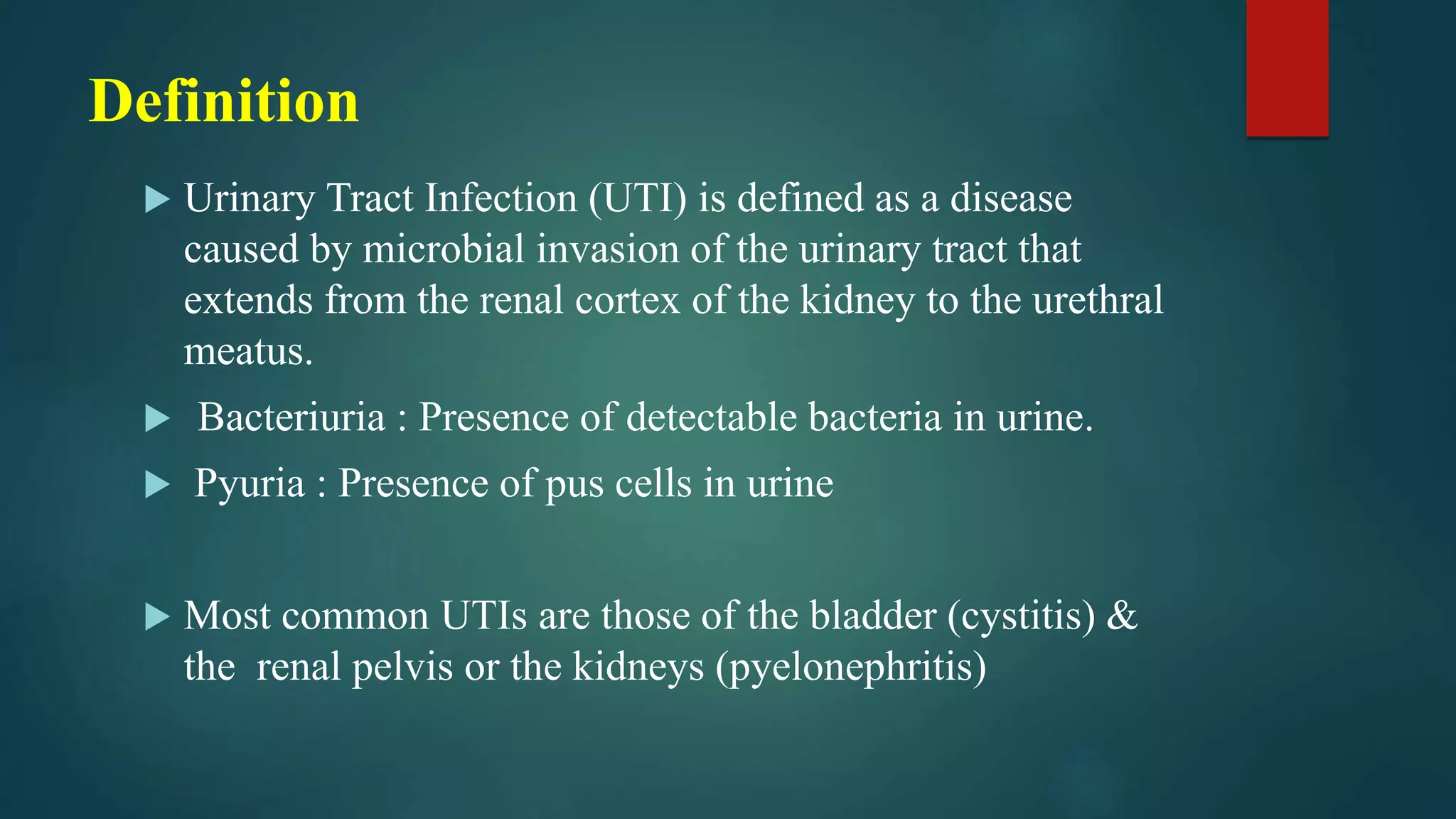 URINARY TRACT INFECTIOM | PPTX | Infectious Diseases | Diseases and ...
