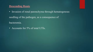 URINARY TRACT INFECTIOM | PPTX