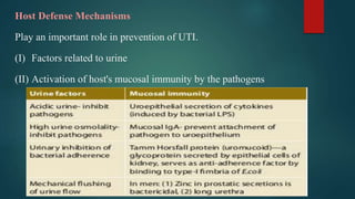 URINARY TRACT INFECTIOM | PPTX