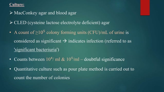 URINARY TRACT INFECTIOM | PPTX | Infectious Diseases | Diseases and ...