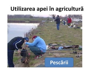 Utilizarile apei | PPTX