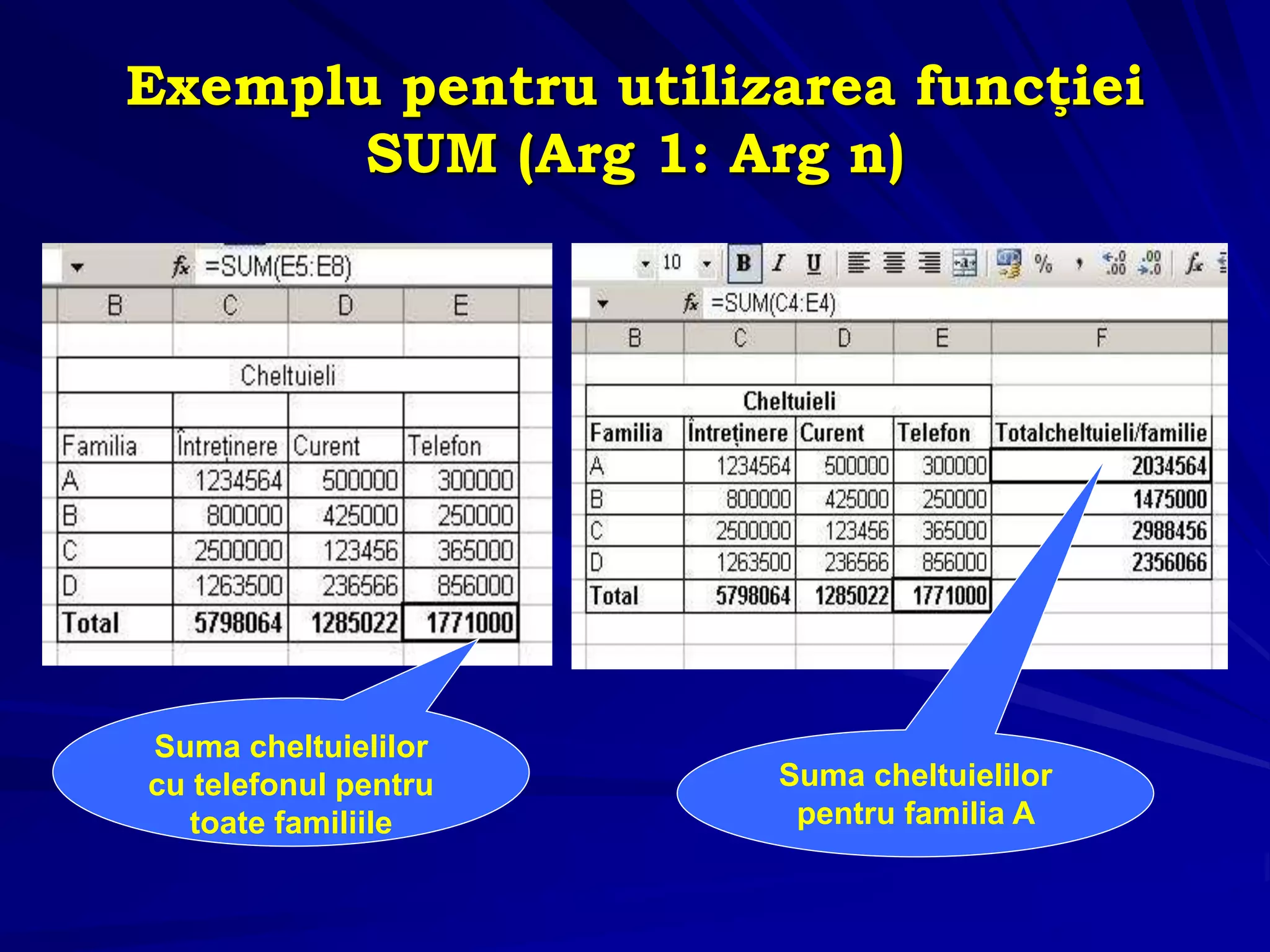 Utilizarea functiilor in Excel | PPTX