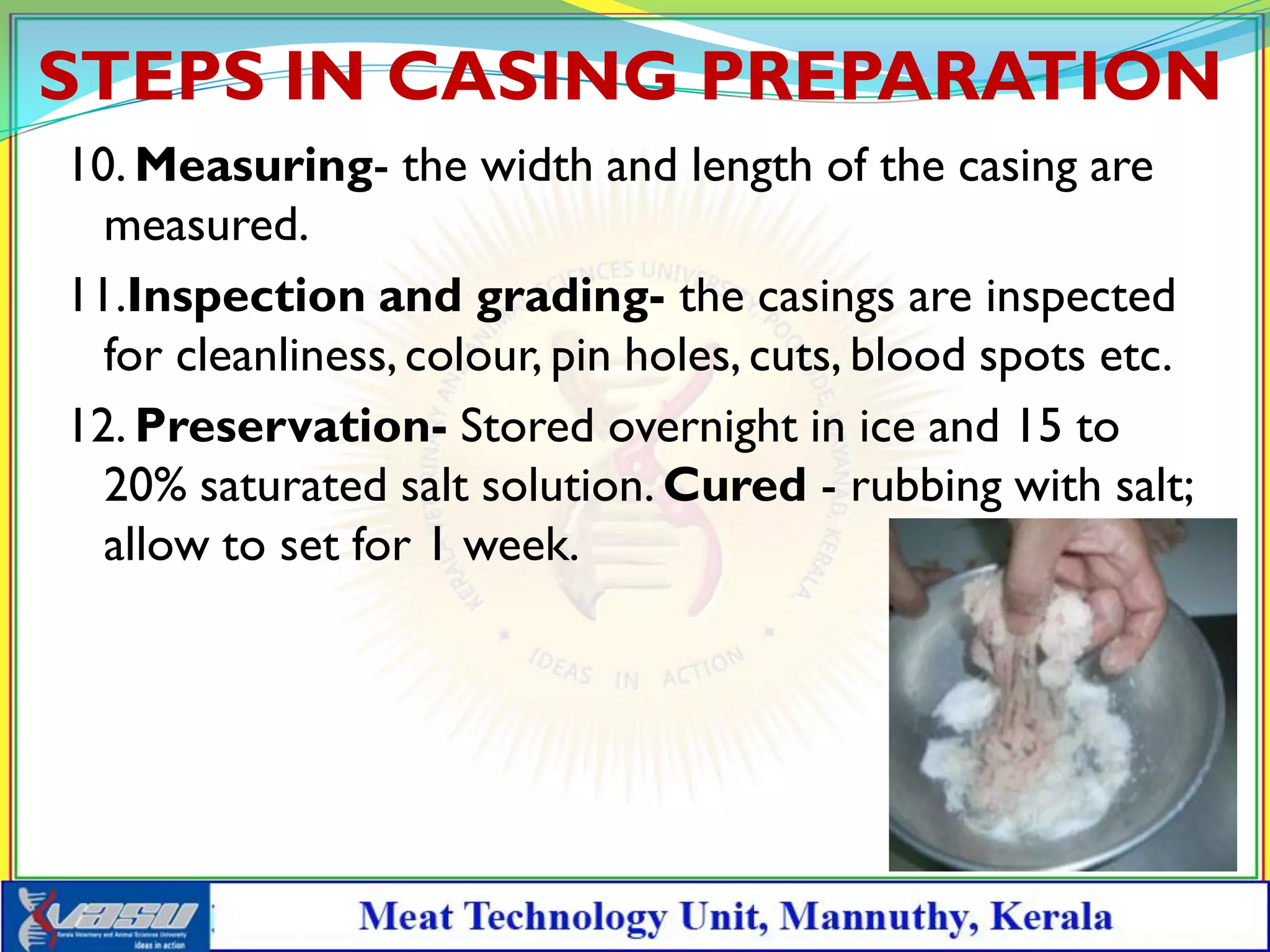 Utilization of intestines as animal casings | PDF