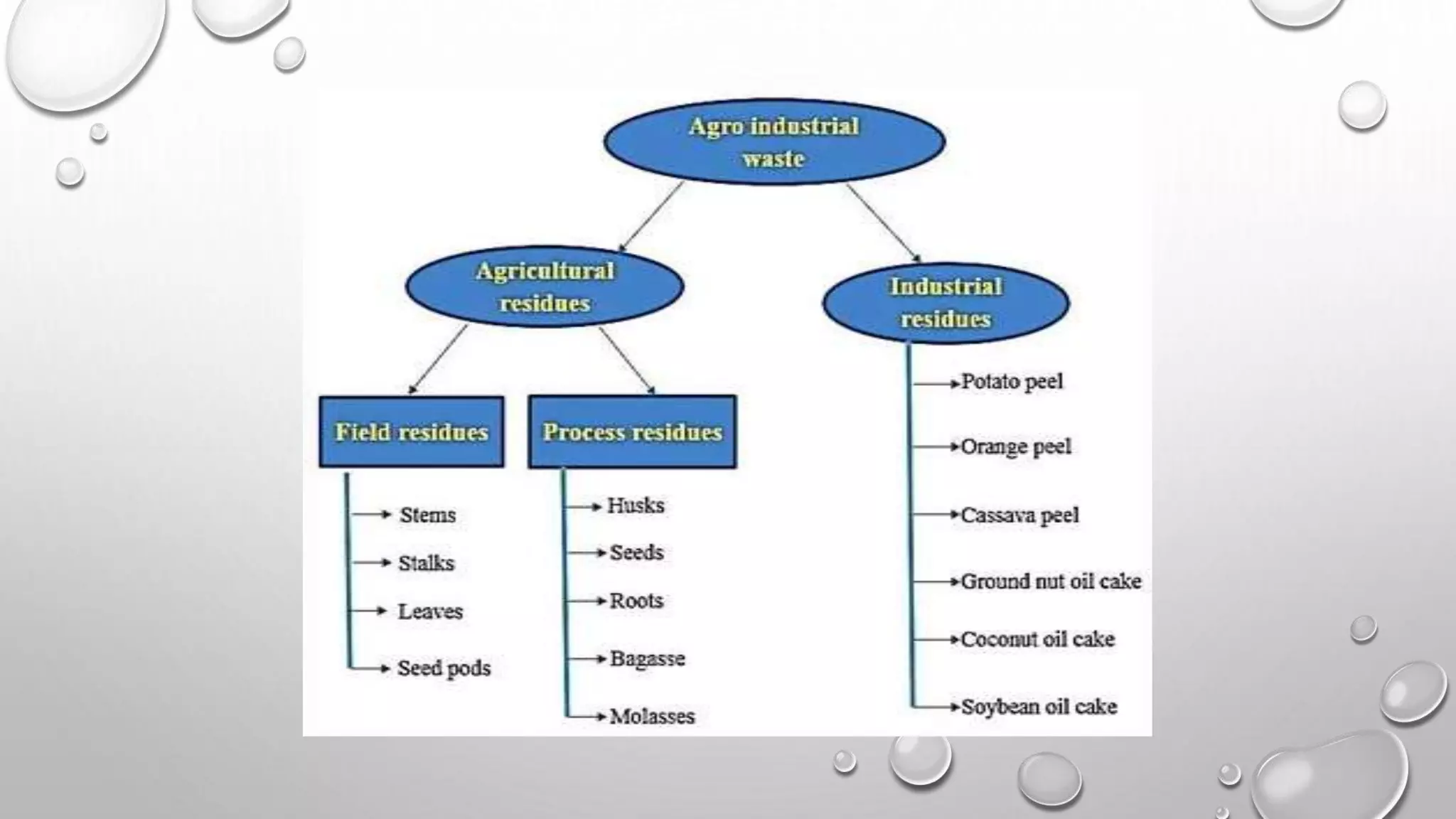 Utilization of Agro-industrial waste and by products.pptx