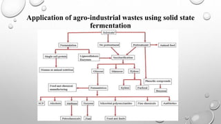 Utilization of Agro-industrial waste and by products.pptx
