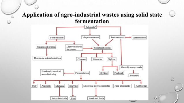 Utilization of Agro-industrial waste and by products.pptx | Agriculture ...
