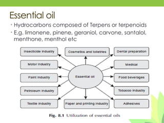 Utilization of aromatic plants and their products.pptx