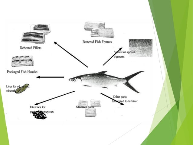 Utilization of fish wastes | PPT