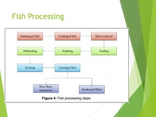 Utilization of fish wastes | PPT