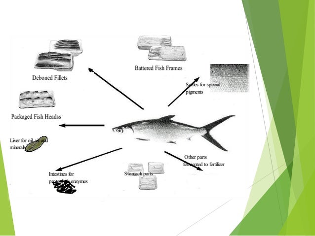 Utilization of fish wastes
