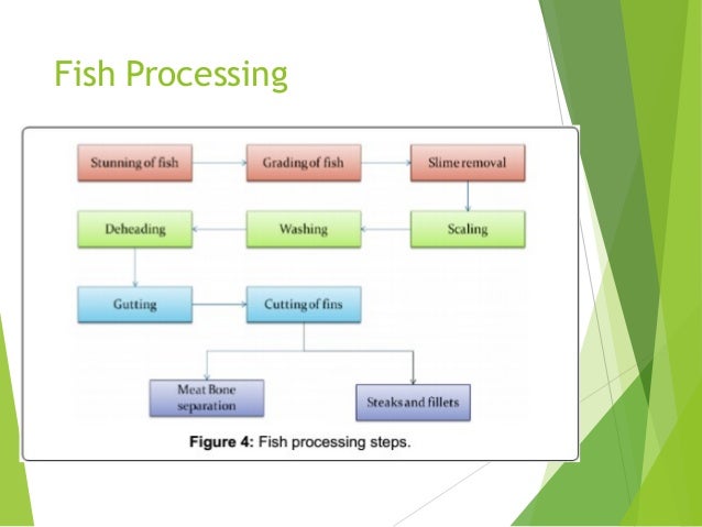 Utilization of fish wastes