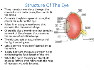 Utilization of portable digital camera for detecting cataract | PPT