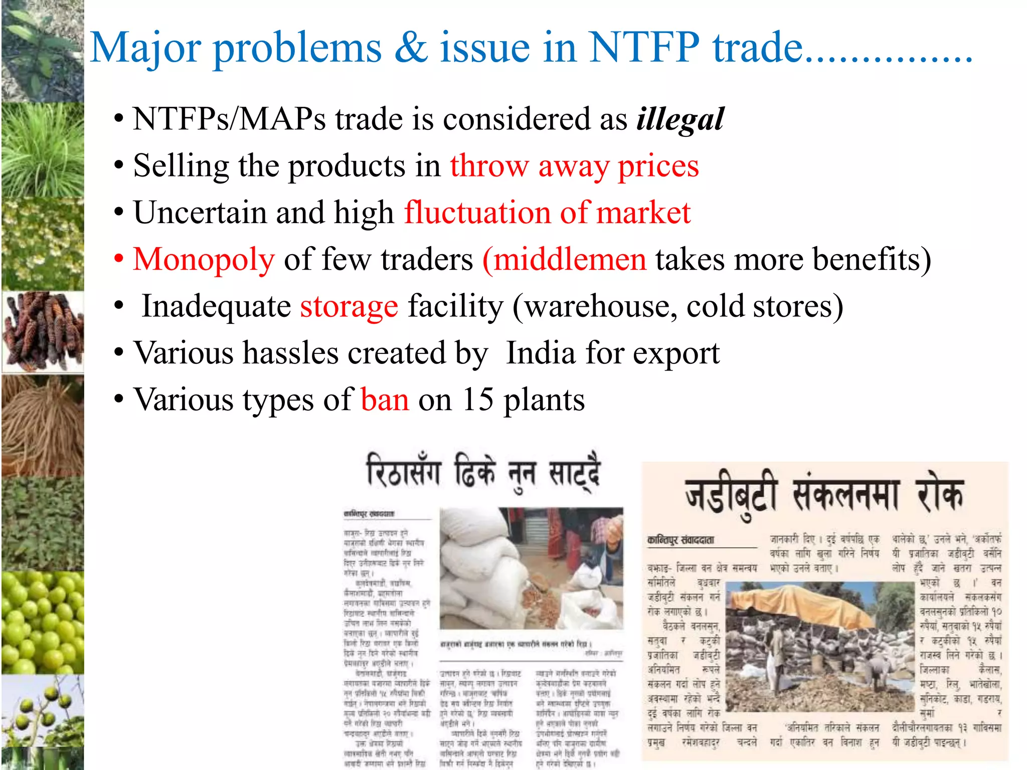 Trade Status of NTFPs in Nepal | PPTX