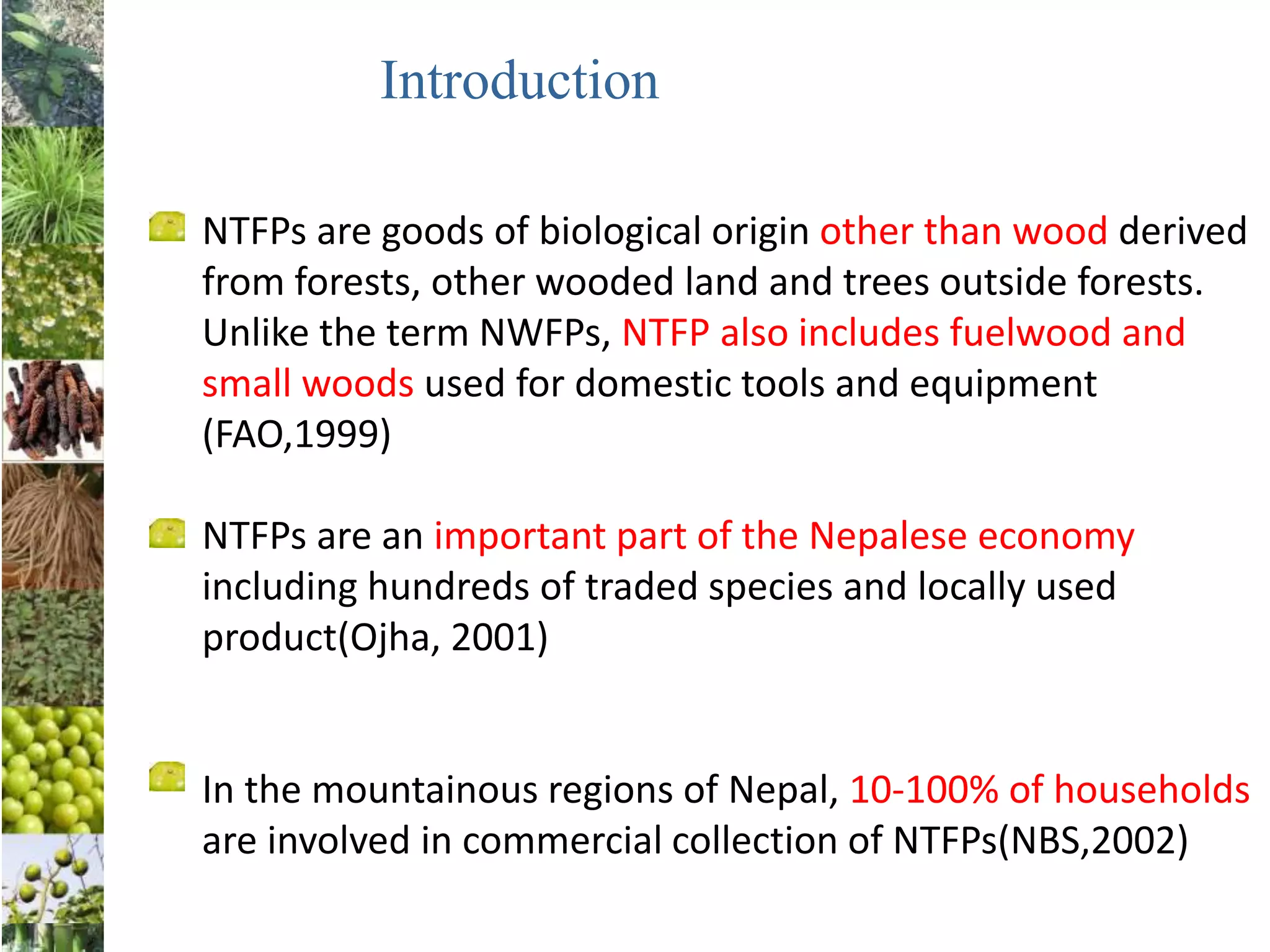Trade Status of NTFPs in Nepal | PPTX