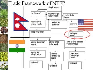 Trade Status of NTFPs in Nepal | PPTX