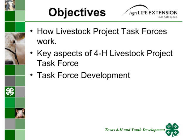 Utilizingtaskforces | PPT