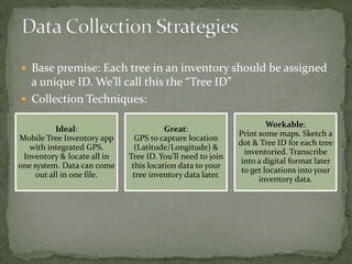 Utilizing Tree Inventories | PPT