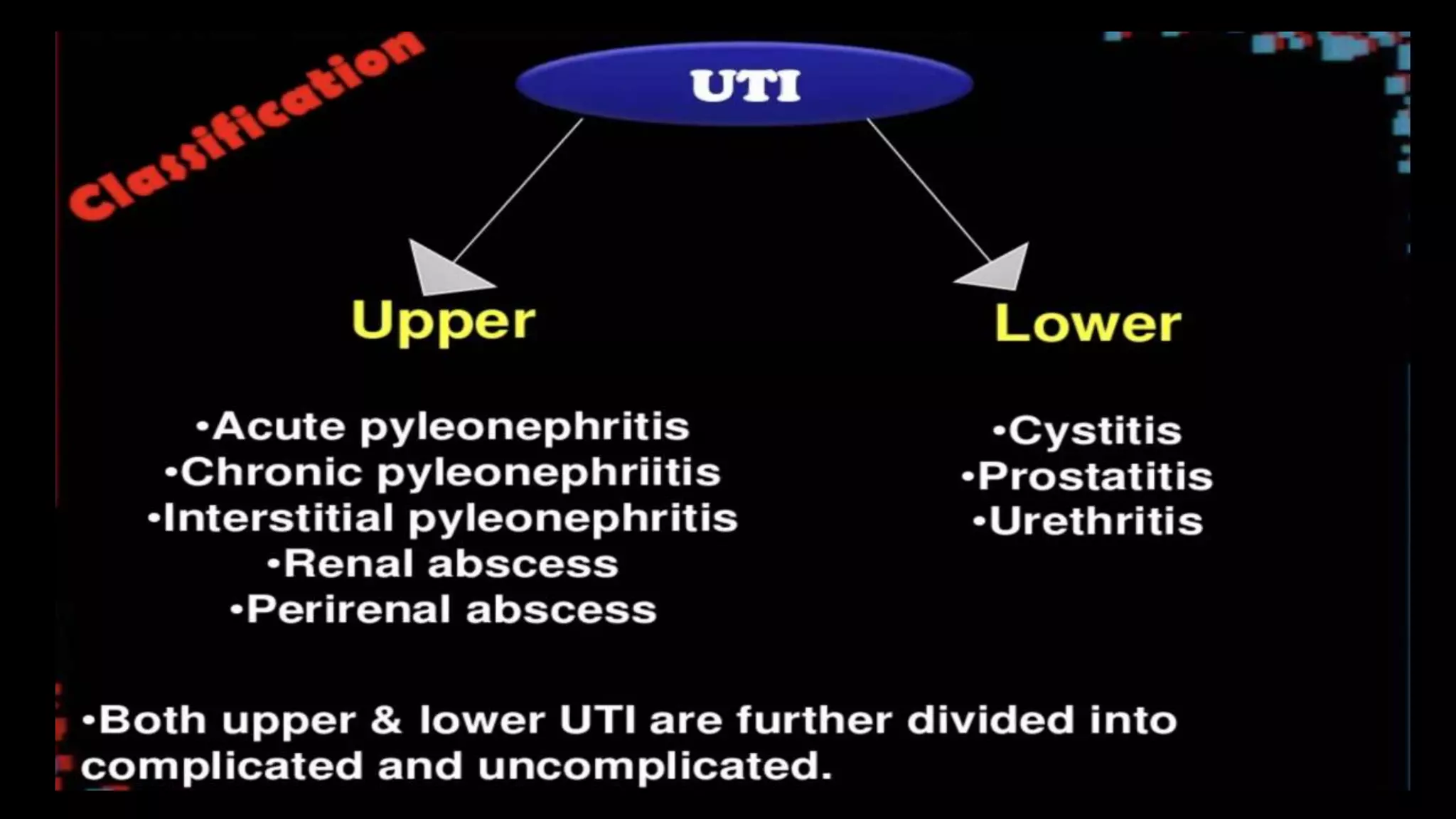 Urinary Tract Infection-1.pptx