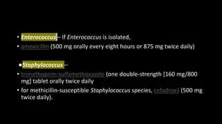 Urinary Tract Infection-1.pptx
