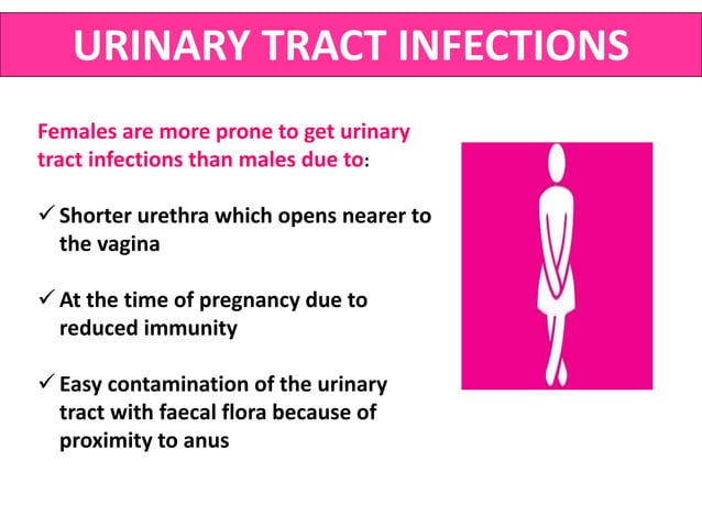 ABC of Uncomplicated Lower Urinary Tract Infection in women (PART -1 ...