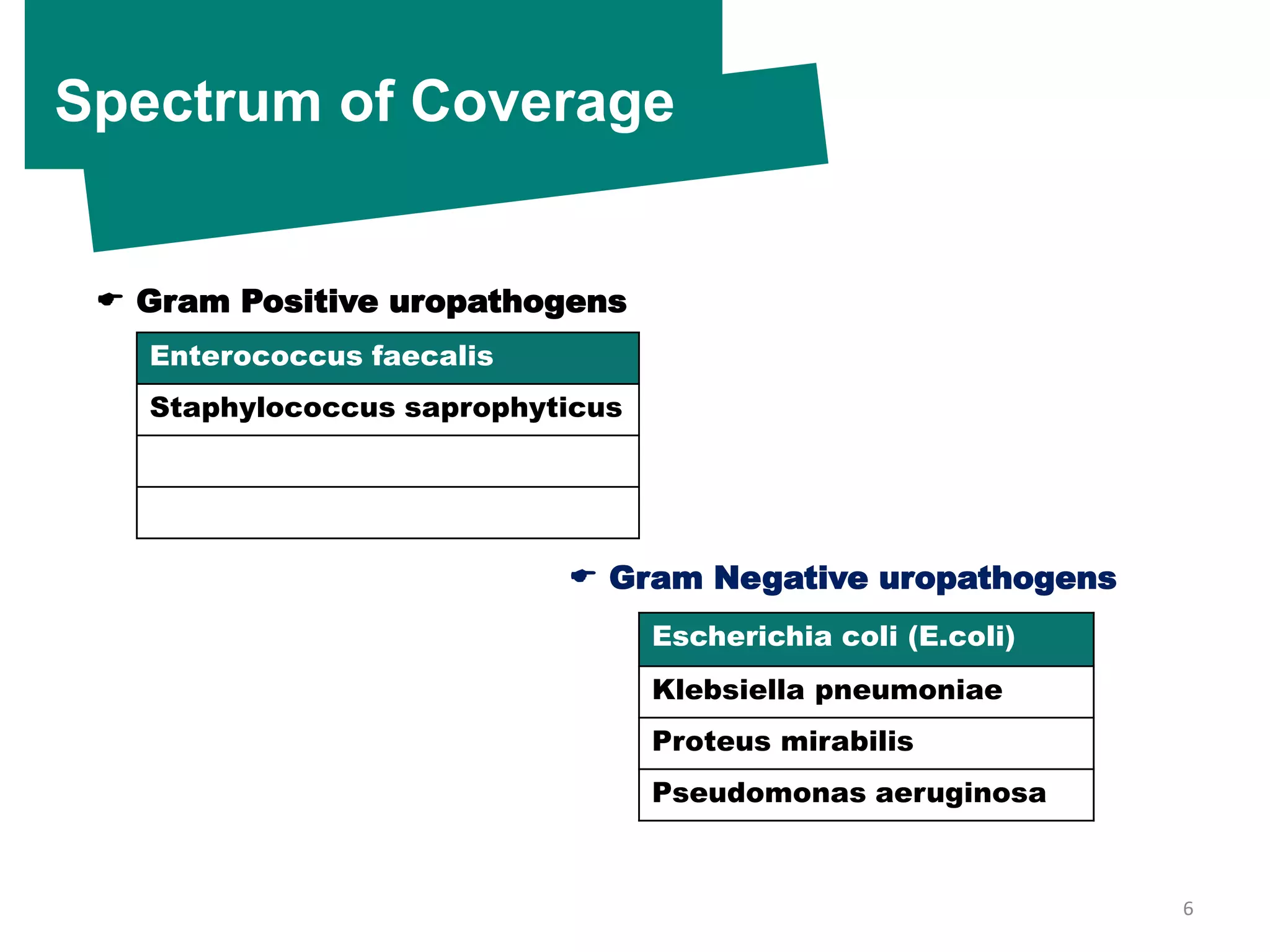 FOSFOMYCINE The First Line Antimicrobial in Urinary Tract Infection ...