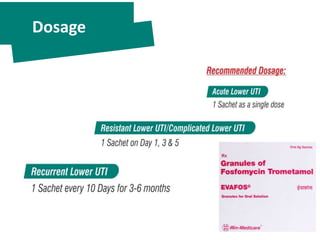 FOSFOMYCINE The First Line Antimicrobial in Urinary Tract Infection ...