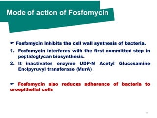FOSFOMYCINE The First Line Antimicrobial in Urinary Tract Infection ...