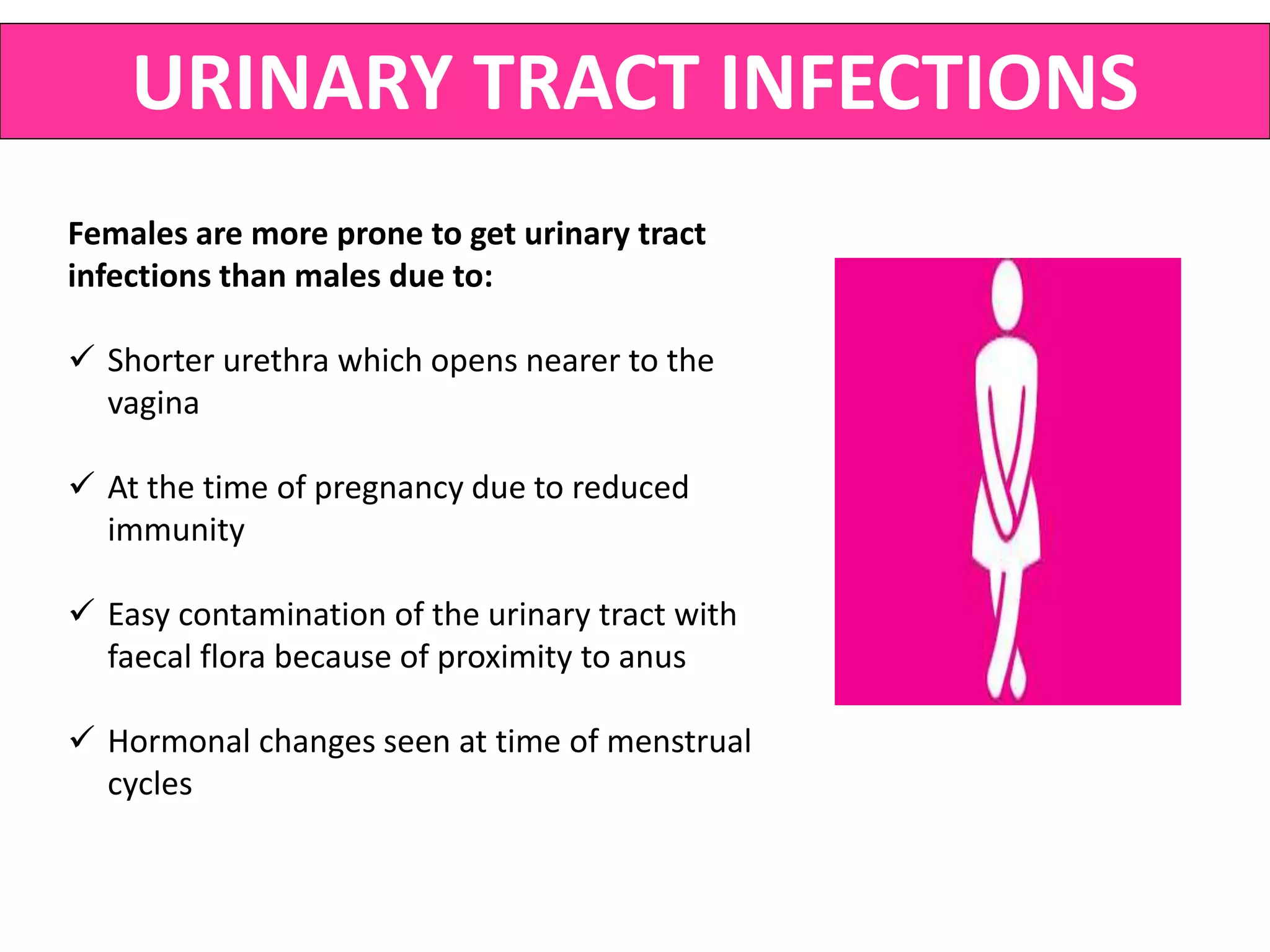 OVERVIEW of Uncomplicated Lower Urinary Tract Infection in women Dr ...