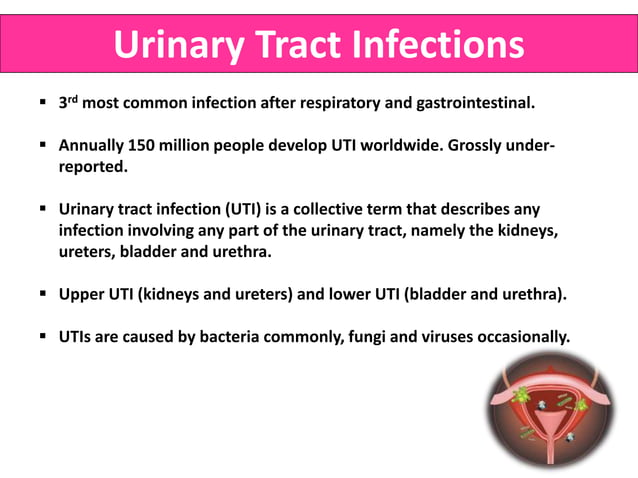 OVERVIEW of Uncomplicated Lower Urinary Tract Infection in women Dr ...